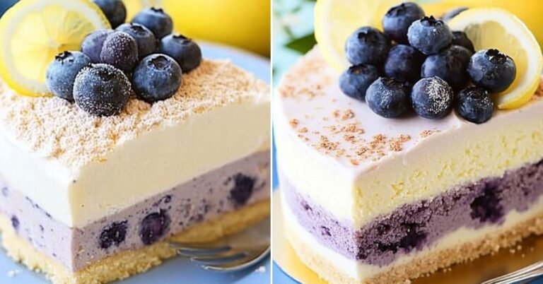 Sweet Easy Recipes: Lemon Blueberry Mousse Cake Delight